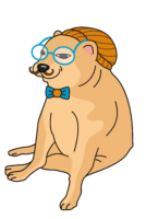 Memes de Cheems que describen las etapas de estudiante