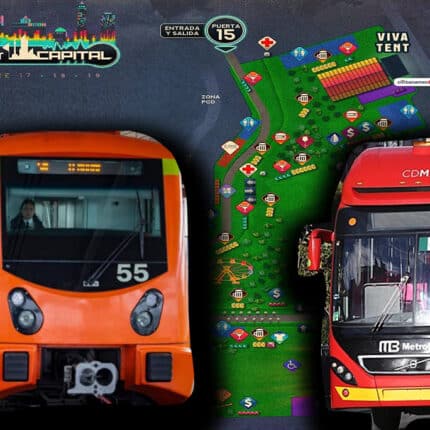 Donación de órganos: Estos son los órganos que puedes donar